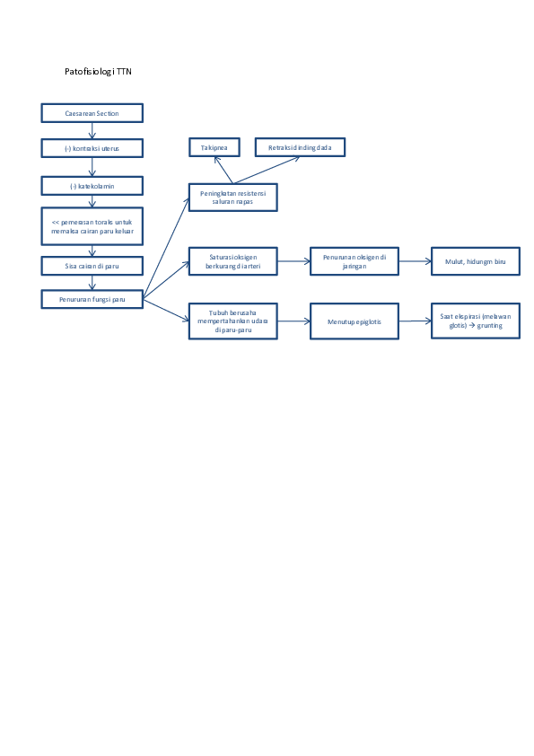 (PDF) Patofisiologi TTN