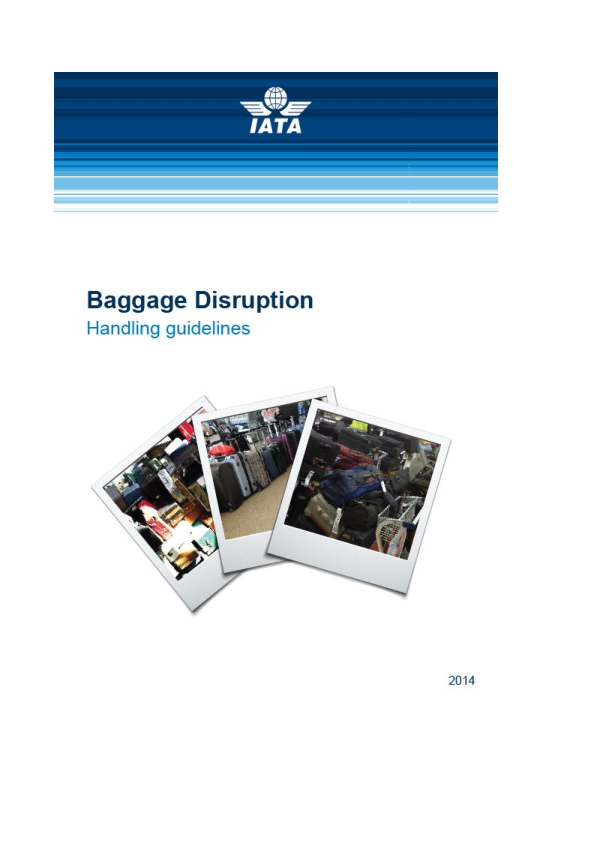 (PDF) Baggage Disruption Handling guidelines