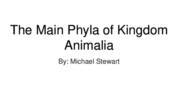 (PPT) Phyla of Kingdom Animalia