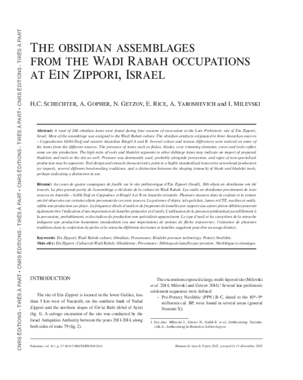 (PDF) The obsidian assemblages from the Wadi Rabah occupations at Ein ...