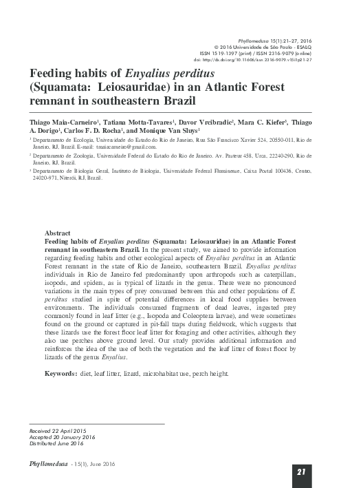 (PDF) Feeding habits of Enyalius perditus (Squamata: Leiosauridae) in ...