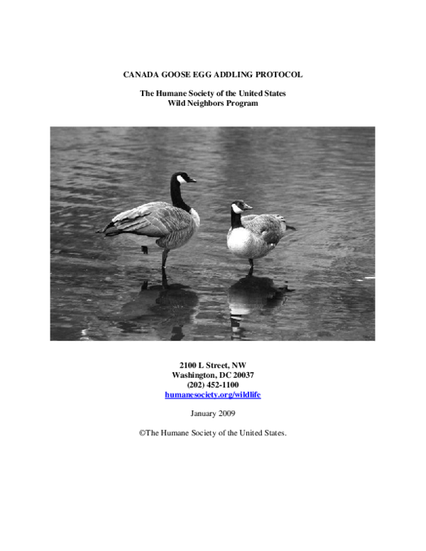 (PDF) CANADA GOOSE EGG ADDLING PROTOCOL | Rachel Santos - Academia.edu