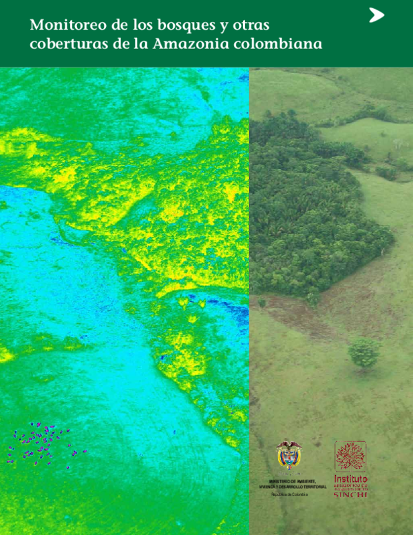 (PDF) Monitoreo de los bosques y otras coberturas de la Amazonia colombiana