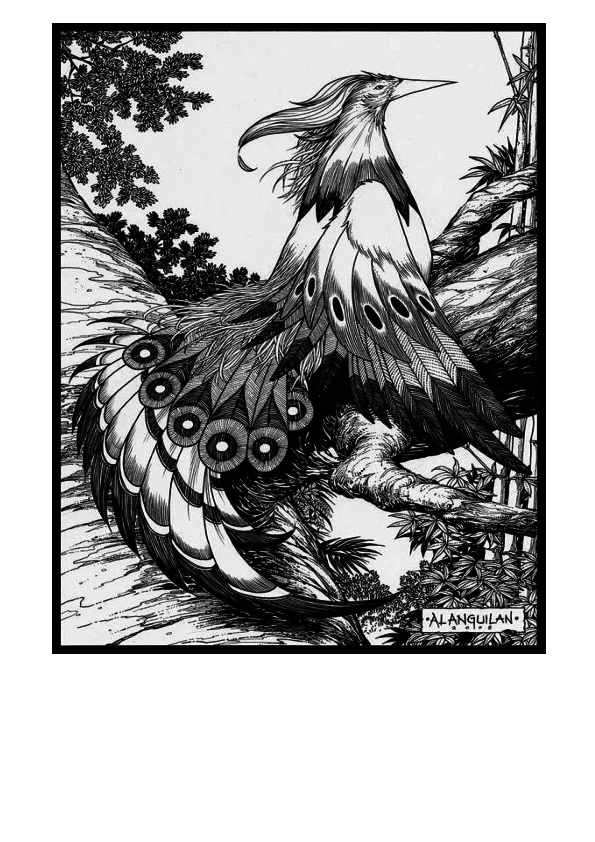 Ibong Adarna Black And White