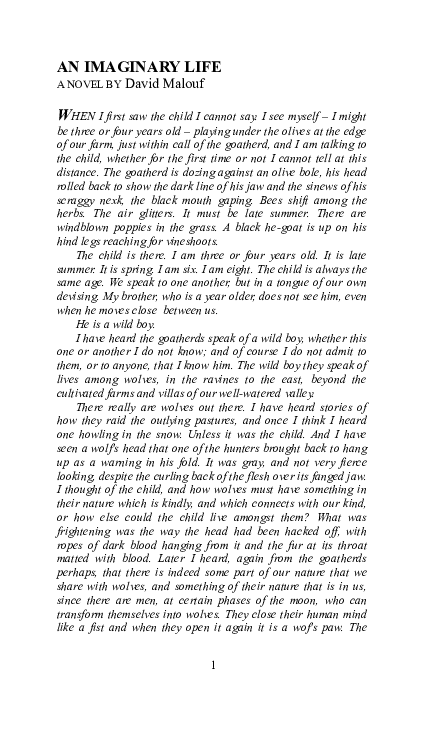 (PDF) AN IMAGINARY LIFE