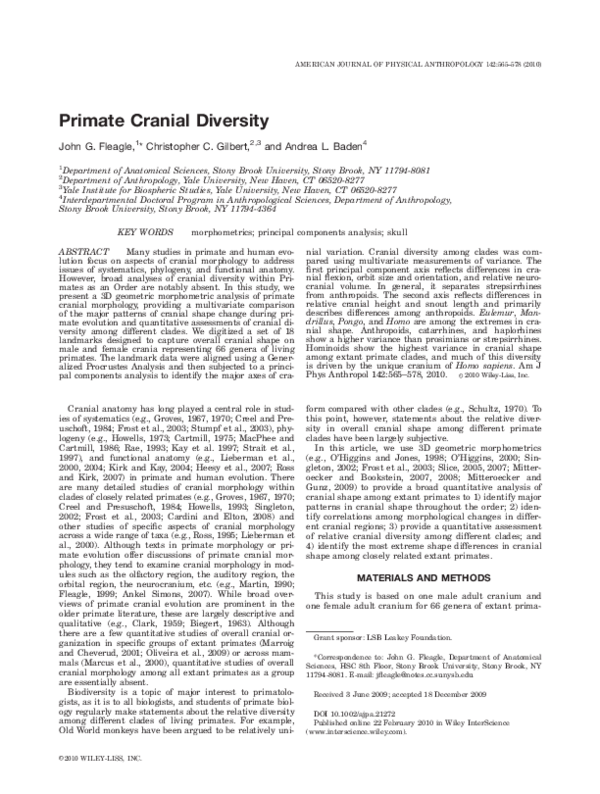 (PDF) Primate cranial diversity