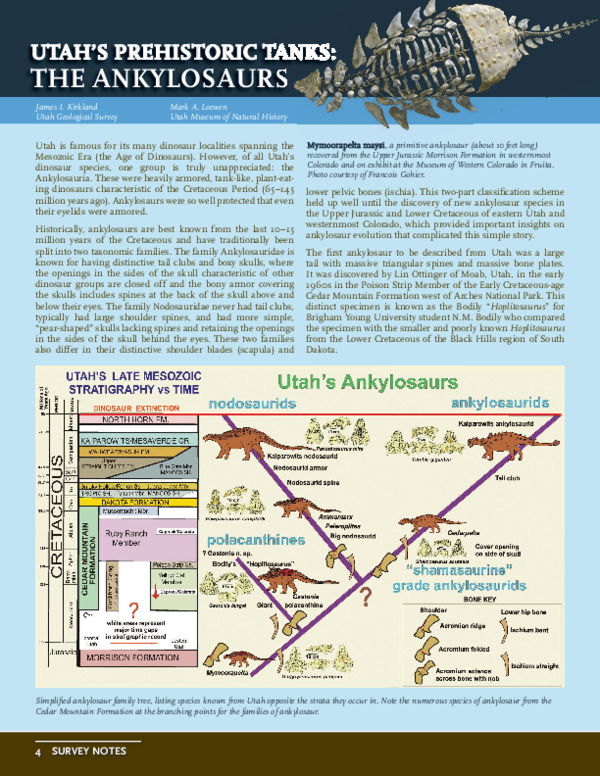 (PDF) Utah's Prehistoric Tanks: The Ankylosaurs