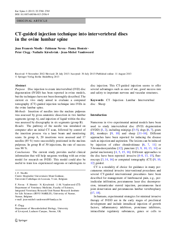 (PDF) CT-guided injection technique into intervertebral discs in the ...
