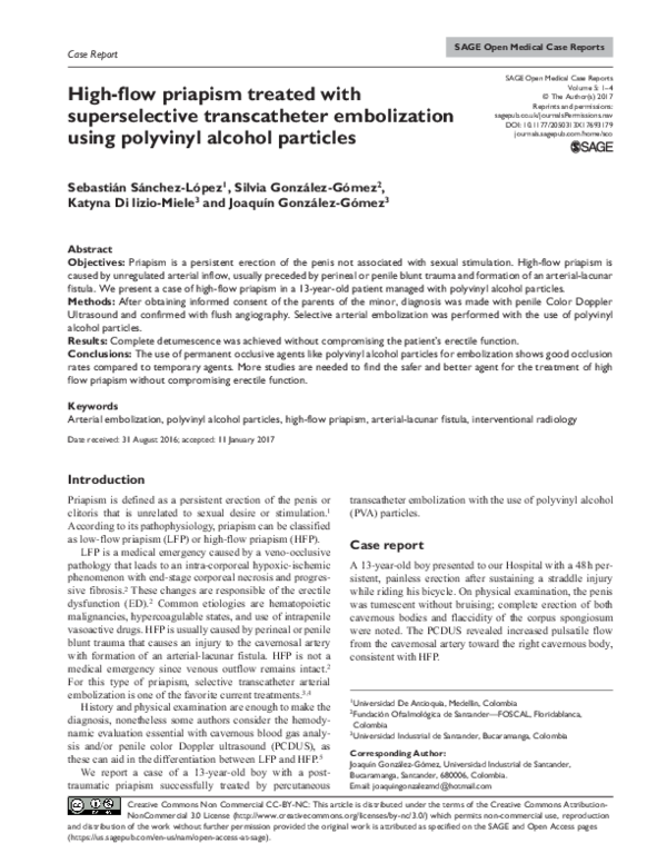 (PDF) High-flow priapism treated with superselective transcatheter ...