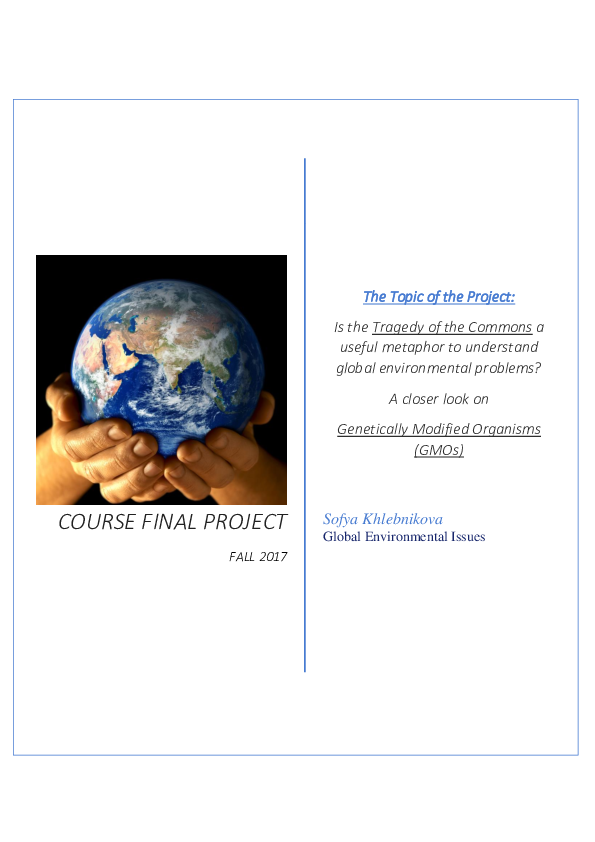 (DOC) Project on Global Environmental Issues