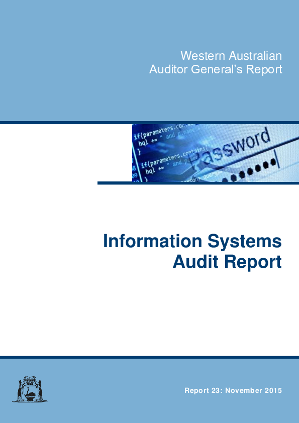(PDF) Information Systems Audit Report