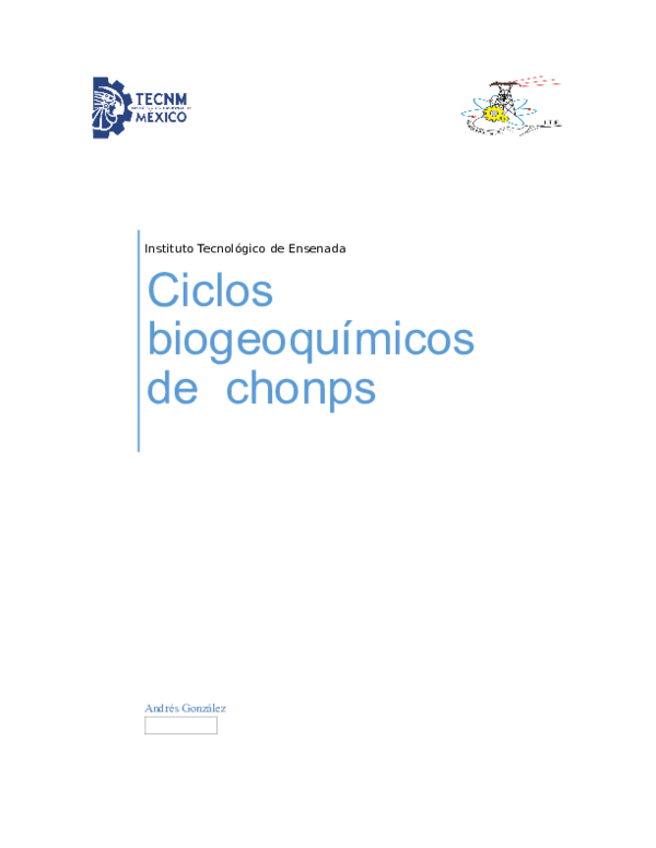 (DOC) Ciclos chonps