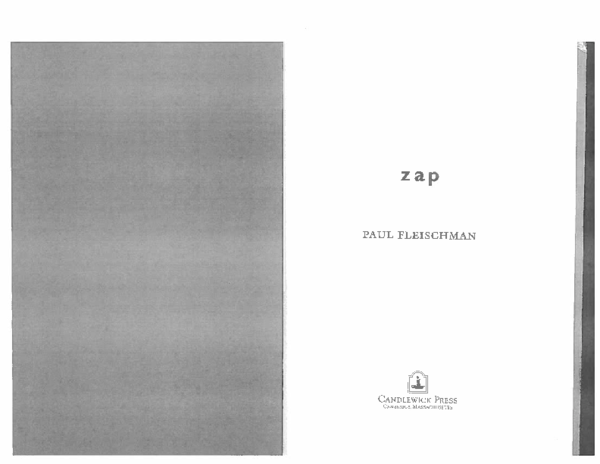 (PDF) ZAP Script