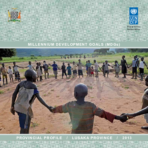 (PDF) MILLENNIUM DEVELOPMENT GOALS (MDGs) PROVINCIAL PROFILE / LUSAKA ...
