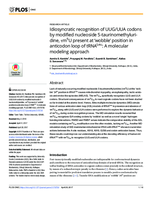 (PDF) Idiosyncratic recognition of UUG/UUA codons by modified ...