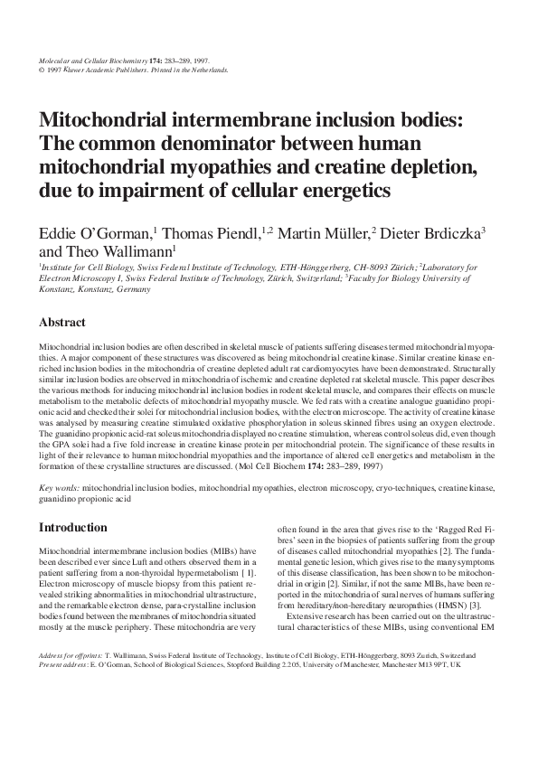 (PDF) Mitochondrial intermembrane inclusion bodies: The common ...