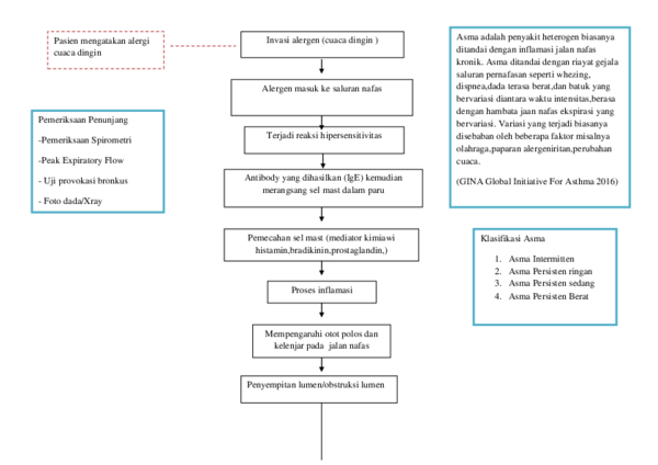 (DOC) Pathway ASMA KEY