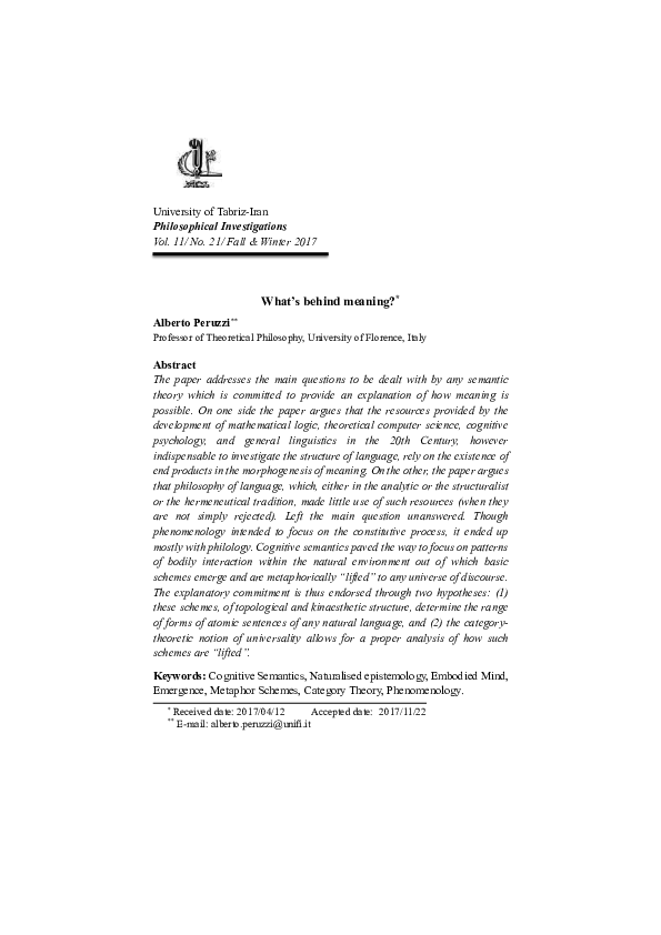 (PDF) What's behind meaning?