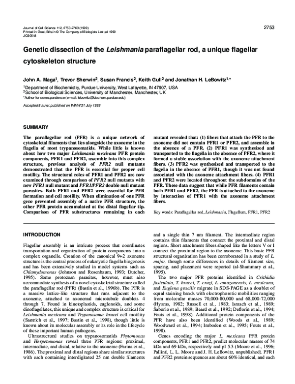 (PDF) Genetic dissection of the Leishmania paraflagellar rod, a unique ...