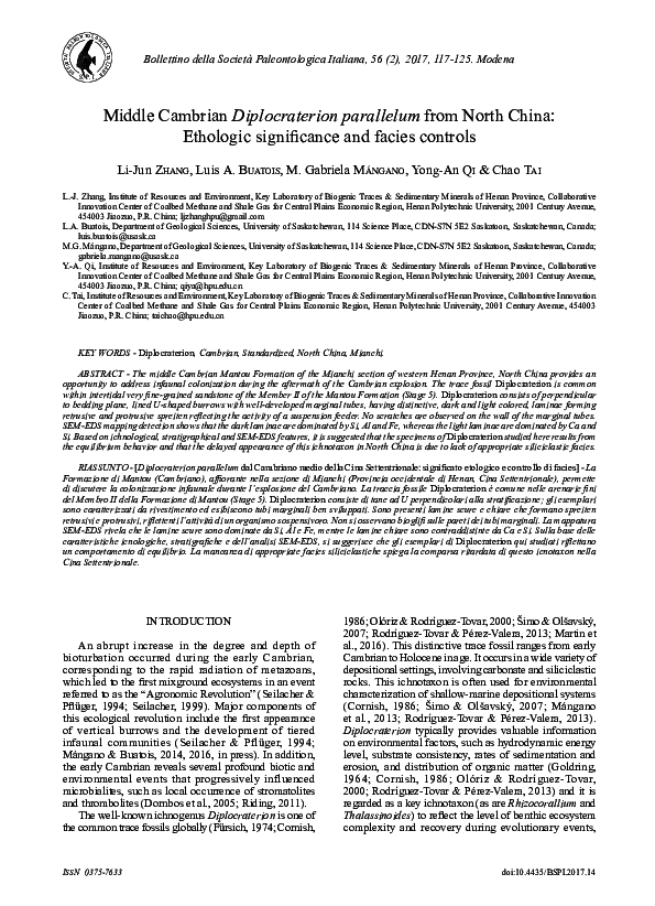 (PDF) Middle Cambrian Diplocraterion parallelum from North China ...