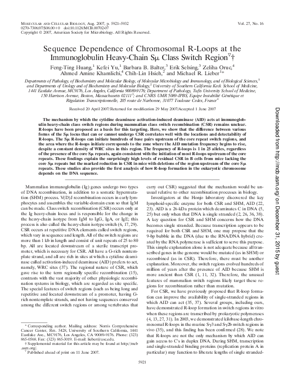 (PDF) Sequence Dependence of Chromosomal R-Loops at the Immunoglobulin ...