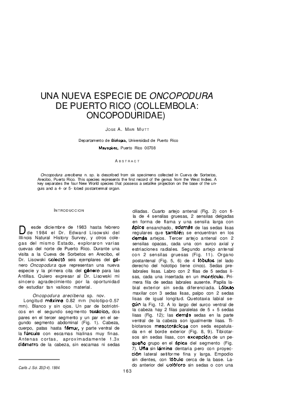 (PDF) Una nueva especie de Oncopodura de Puerto Rico (Collembola ...