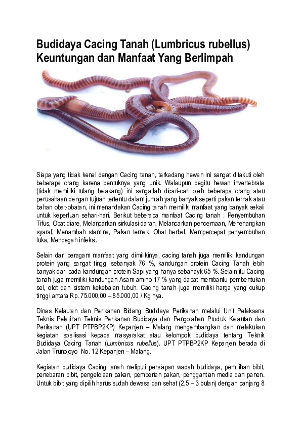 (DOC) Budidaya Cacing Tanah
