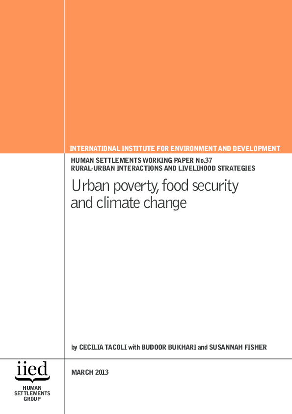 (PDF) HUMAN SETTLEMENTS WORKING PAPER No.37 RURAL-URBAN INTERACTIONS ...