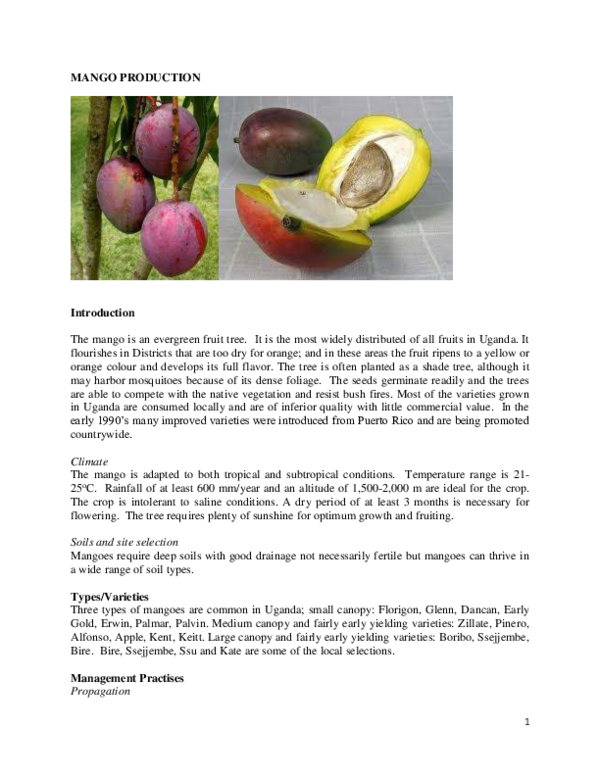 (PDF) MANGO PRODUCTION