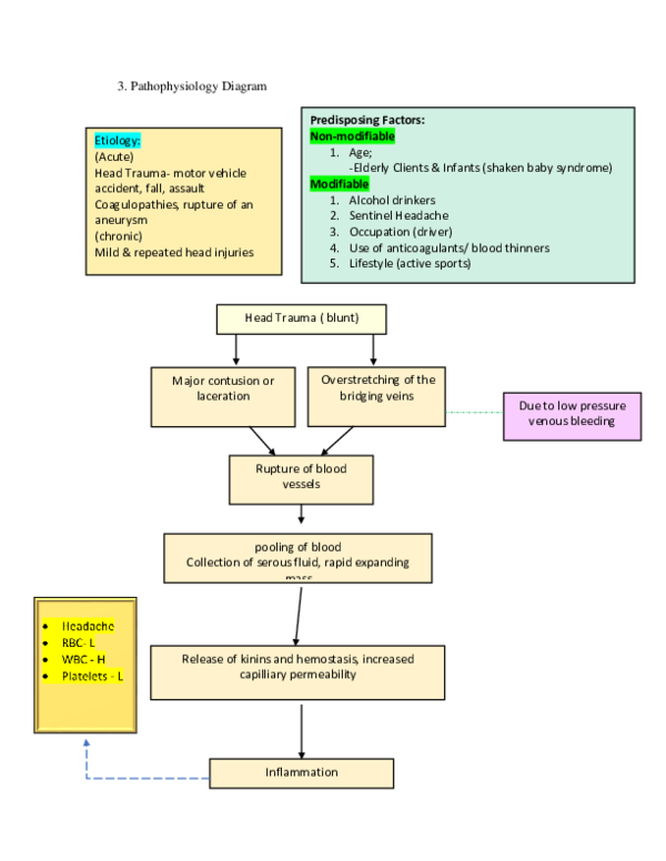 (DOC) PATHOPHY DRAFT