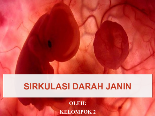 (PPT) SIRKULASI DARAH JANIN