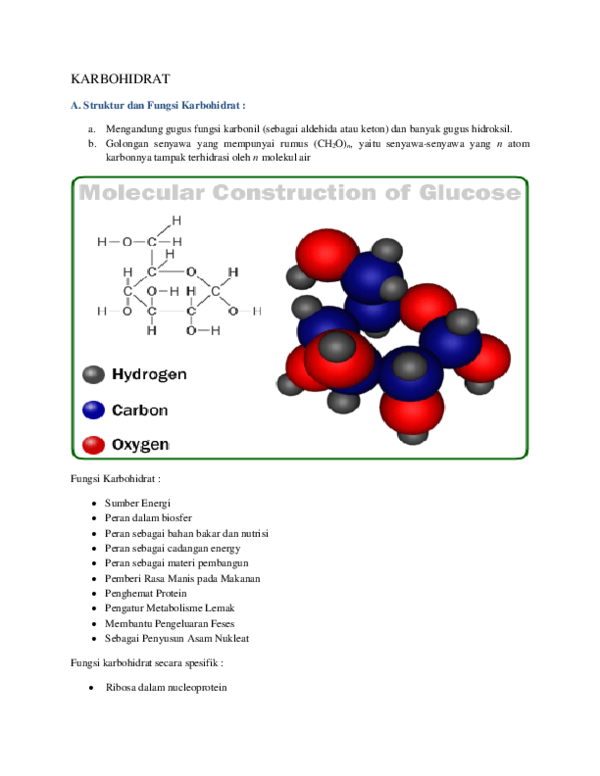 (DOC) KARBOHIDRAT