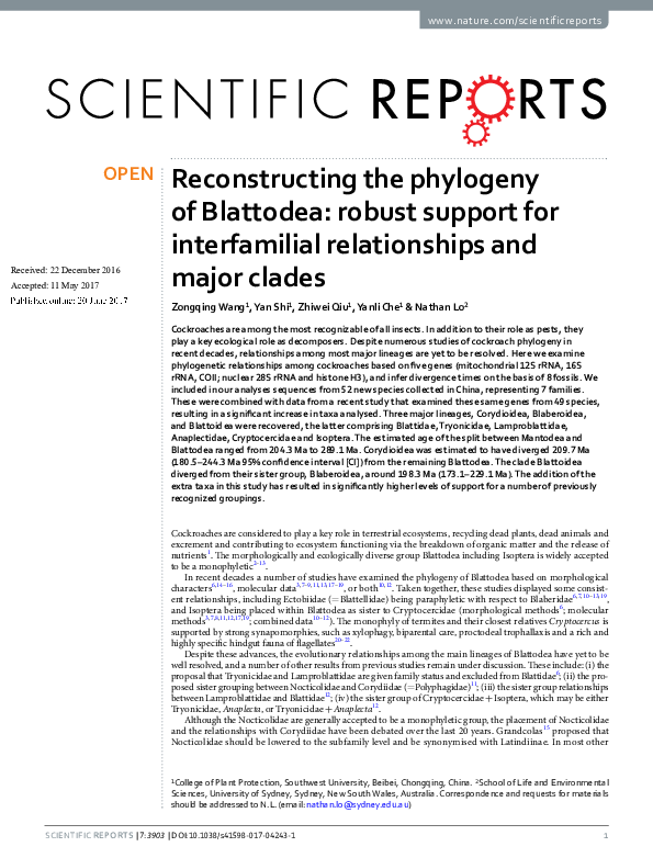 (PDF) Reconstructing the phylogeny of Blattodea: robust support for ...