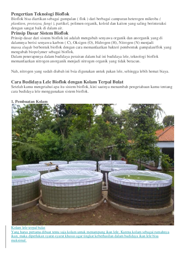 (DOC) Pengertian Teknologi Bioflok
