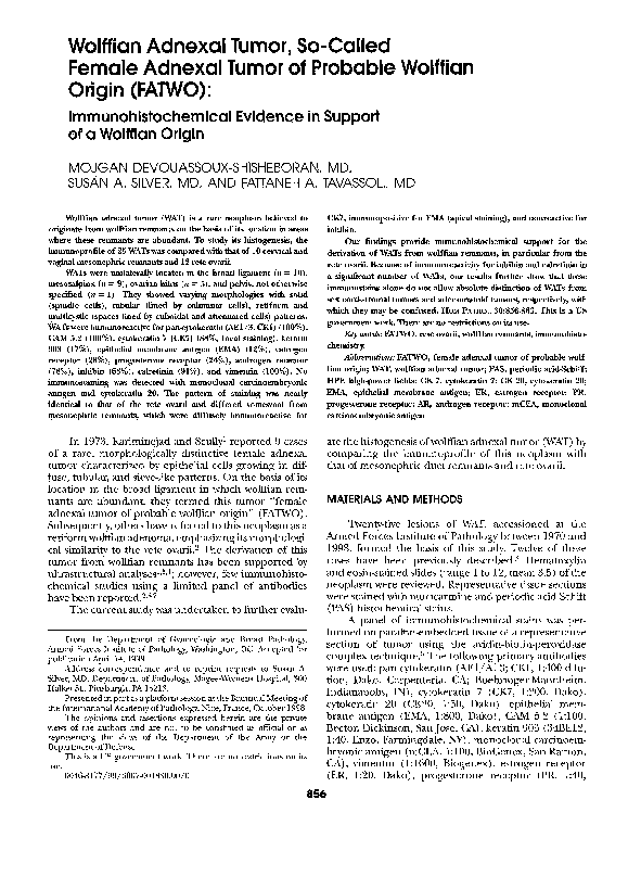 (PDF) Wolffian adnexal tumor, so-called female adnexal tumor of ...