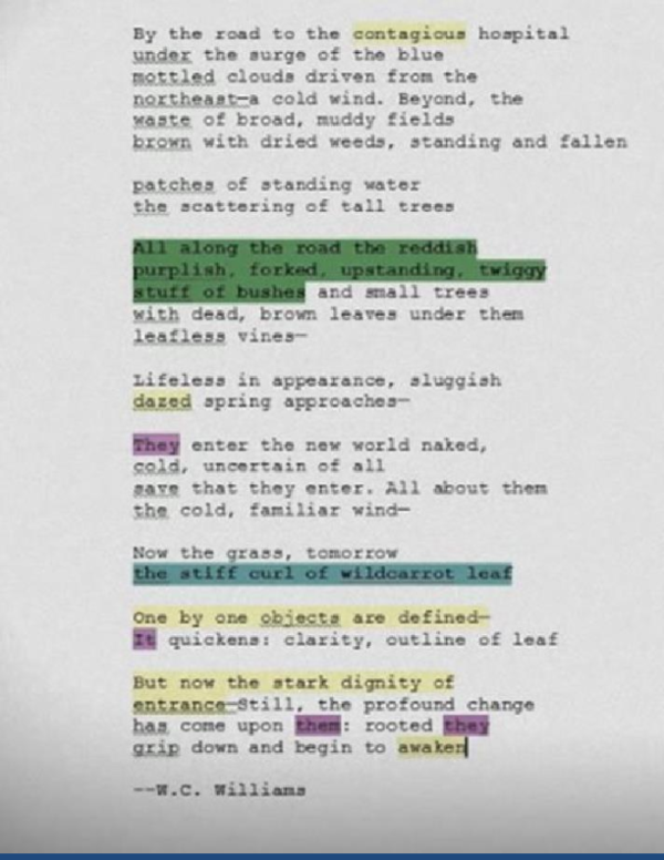 (PDF) Grading William Carlos Williams