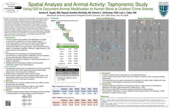 (PDF) Spatial Analysis and Animal Activity: Taphonomic Study Using GIS ...