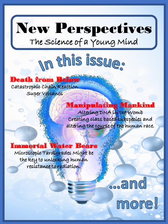 (PDF) New Perspectives Journal