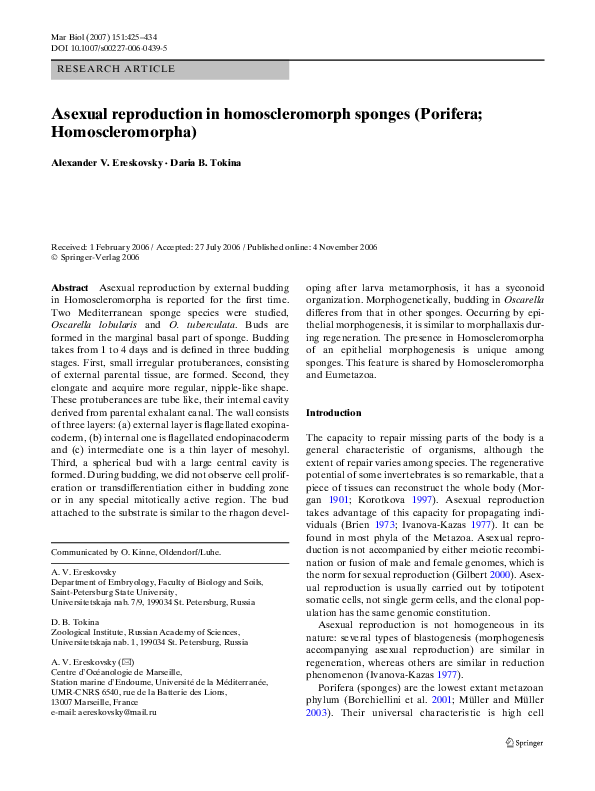 (PDF) Asexual reproduction in homoscleromorph sponges (Porifera ...