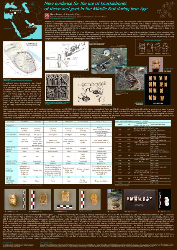 (PDF) New evidence for the use of knuckle-bones of sheep and goat in ...