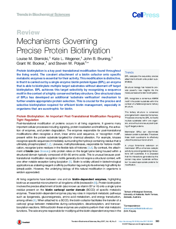 (PDF) Mechanisms Governing Precise Protein Biotinylation