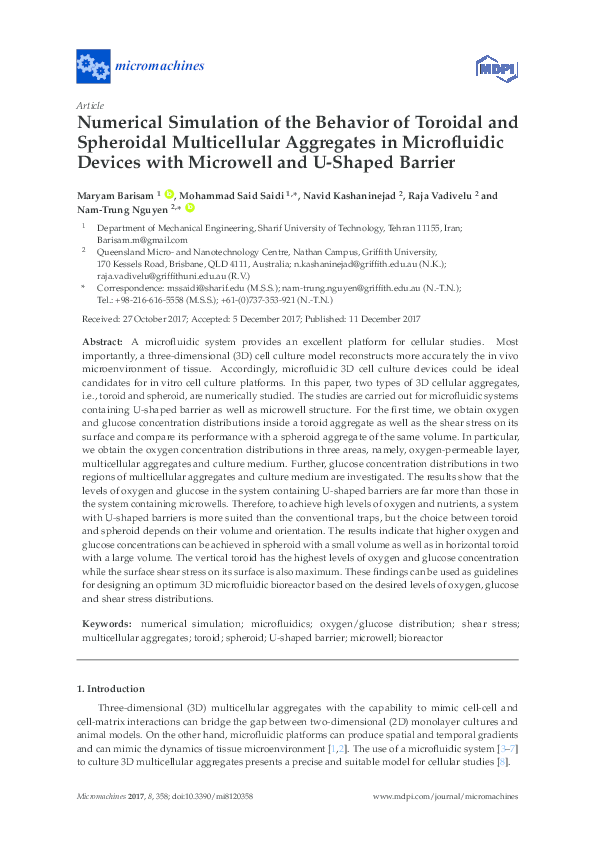 Pdf Numerical Simulation Of The Behavior Of Toroidal And Spheroidal Multicellular Aggregates