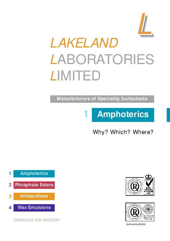 (PDF) Present lakeland ama