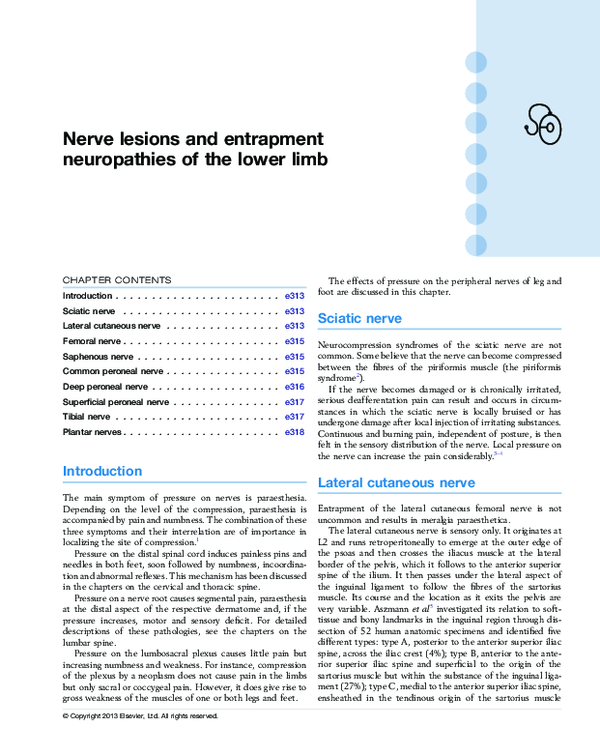 (PDF) Nerve lesions and entrapment neuropathies of the lower limb