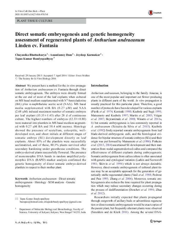 (PDF) Direct somatic embryogenesis and genetic homogeneity assessment of regenerated plants of ...