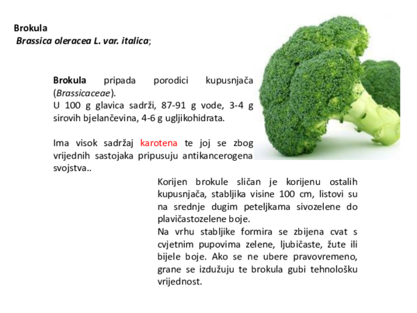 (PPT) Presentation3 org.proiz.povr.ppt