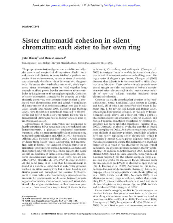(PDF) Sister chromatid cohesion in silent chromatin: each sister to her ...