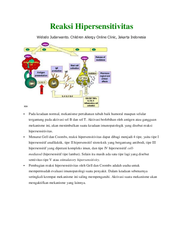 (DOC) Reaksi Hipersensitivitas.docx