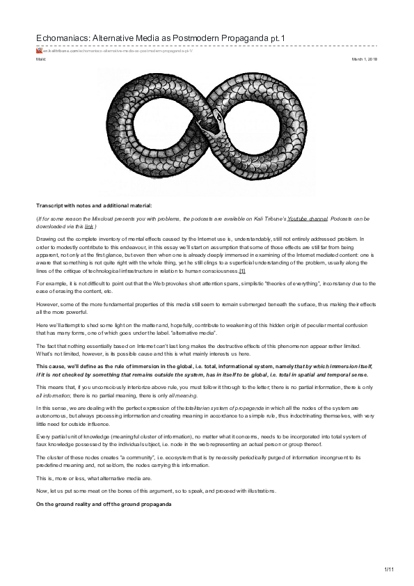 (PDF) Echomaniacs: Alternative Media as Postmodern Propaganda pt.1