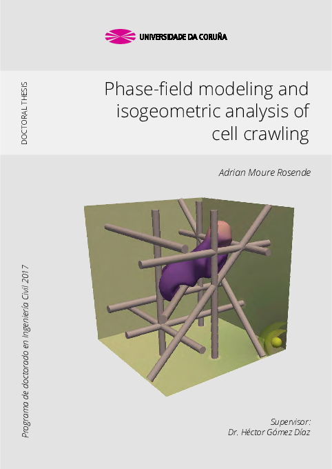 (PDF) Phase-field modeling and isogeometric analysis of cell crawling